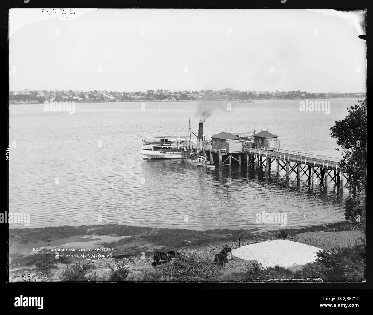 Auckland birkenhead jetty hi-res stock photography and images - Alamy