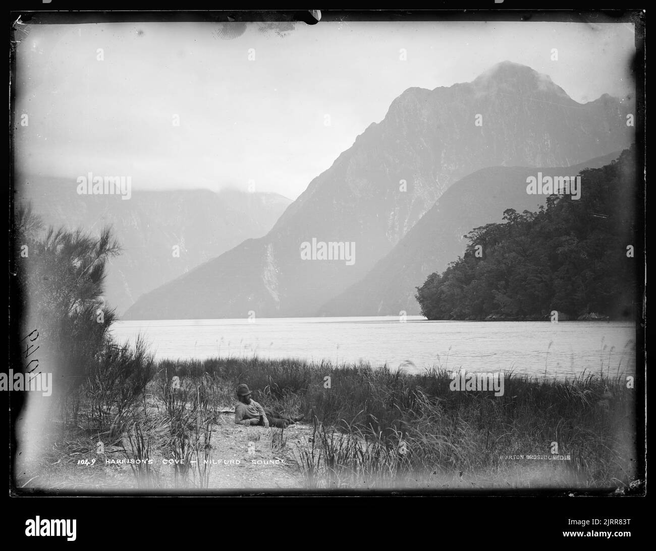 Harrison's Cove, Milford Sound, 1882, Dunedin, by Burton Brothers ...