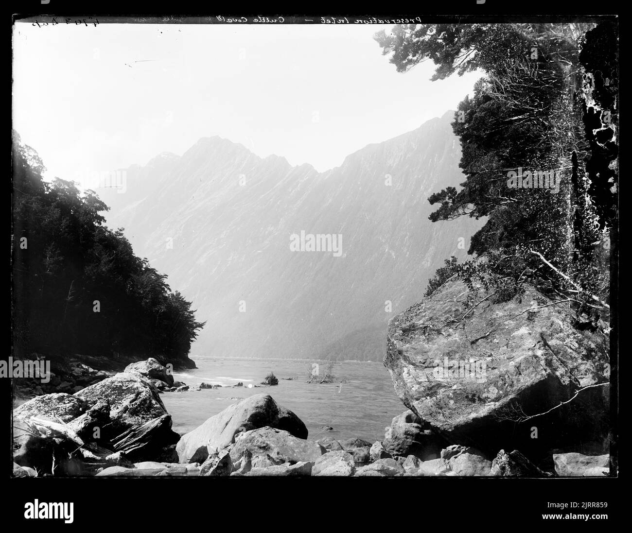 [Cuttle Cove, Preservation Inlet], 1888, Dunedin, by Burton Brothers ...