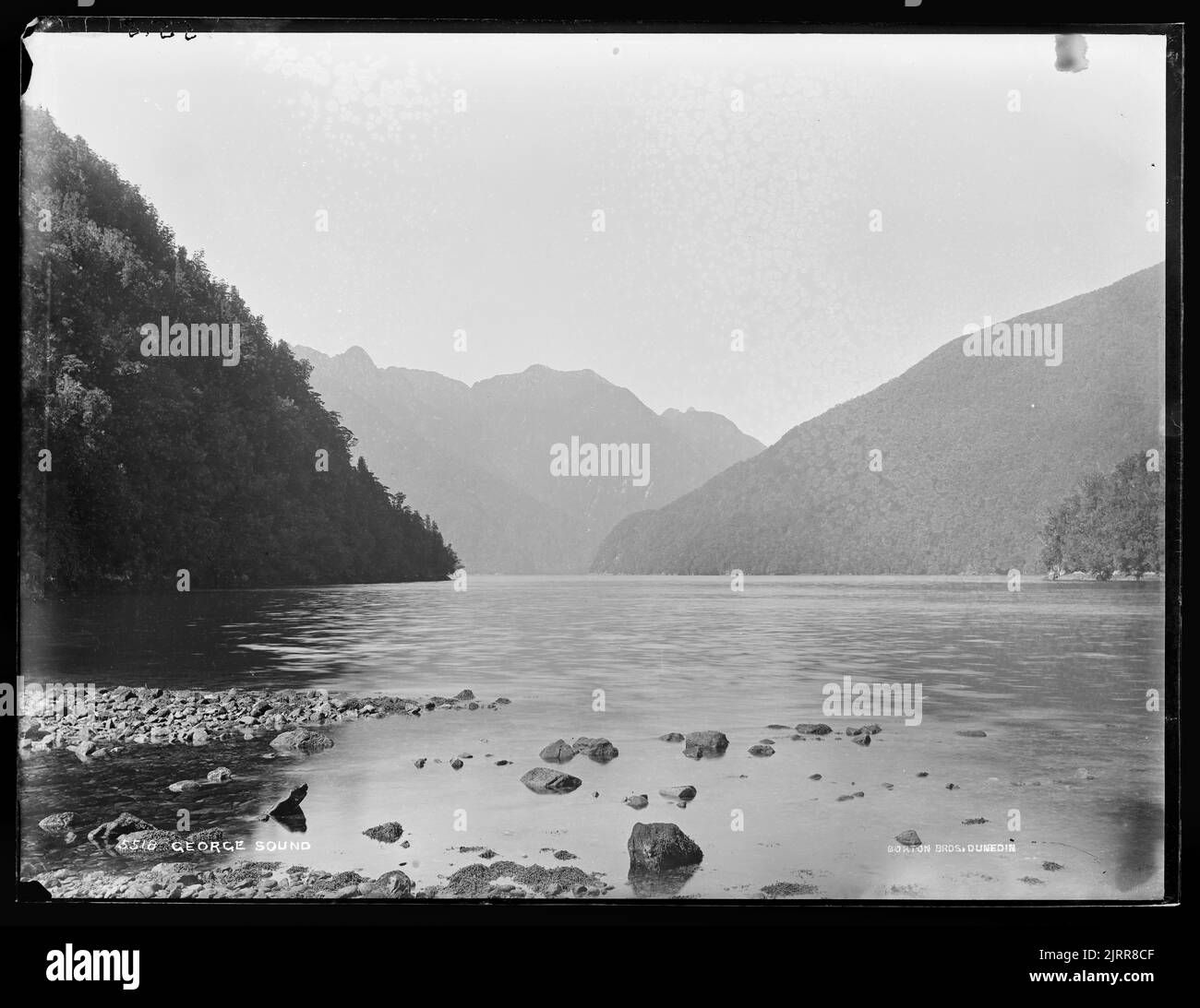 George Sound, 1893, Dunedin, by Burton Brothers, George Moodie Stock ...