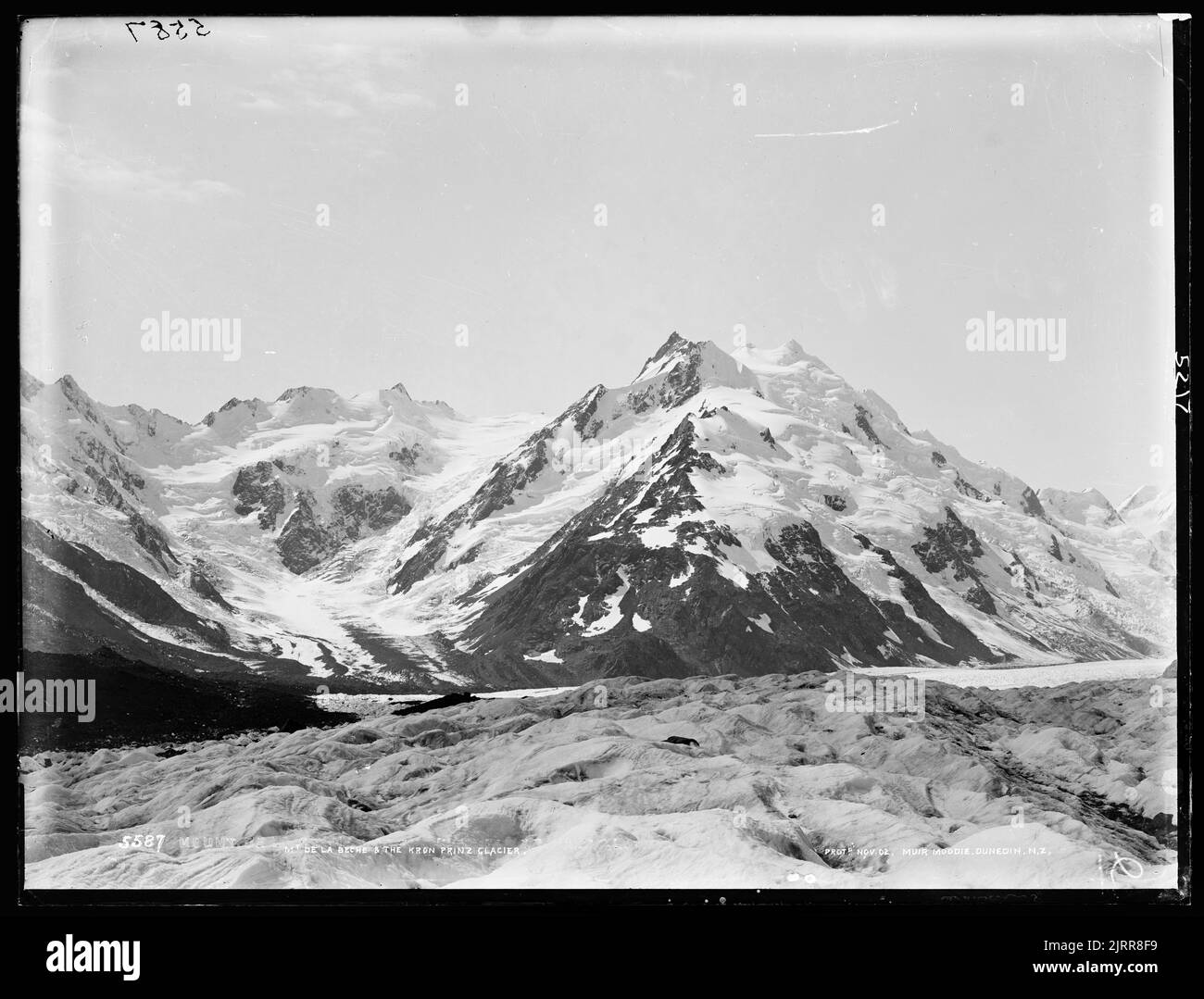 Mount De la Beche and the Kron Prinz Rudolf Glacier, 1893, Dunedin, by ...