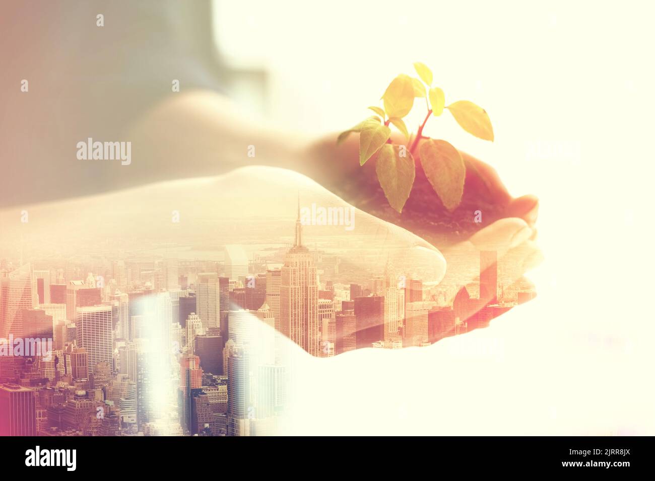 Small fish in a big pond...for now. Double exposure shot of a budding ...