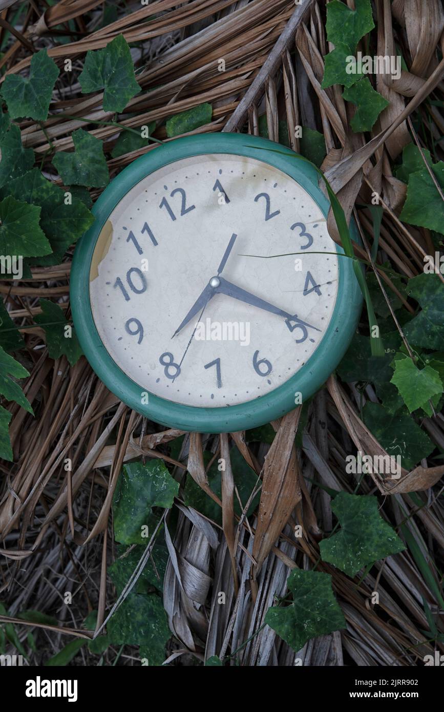 spoiled analog round clock thrown in the bush Stock Photo - Alamy