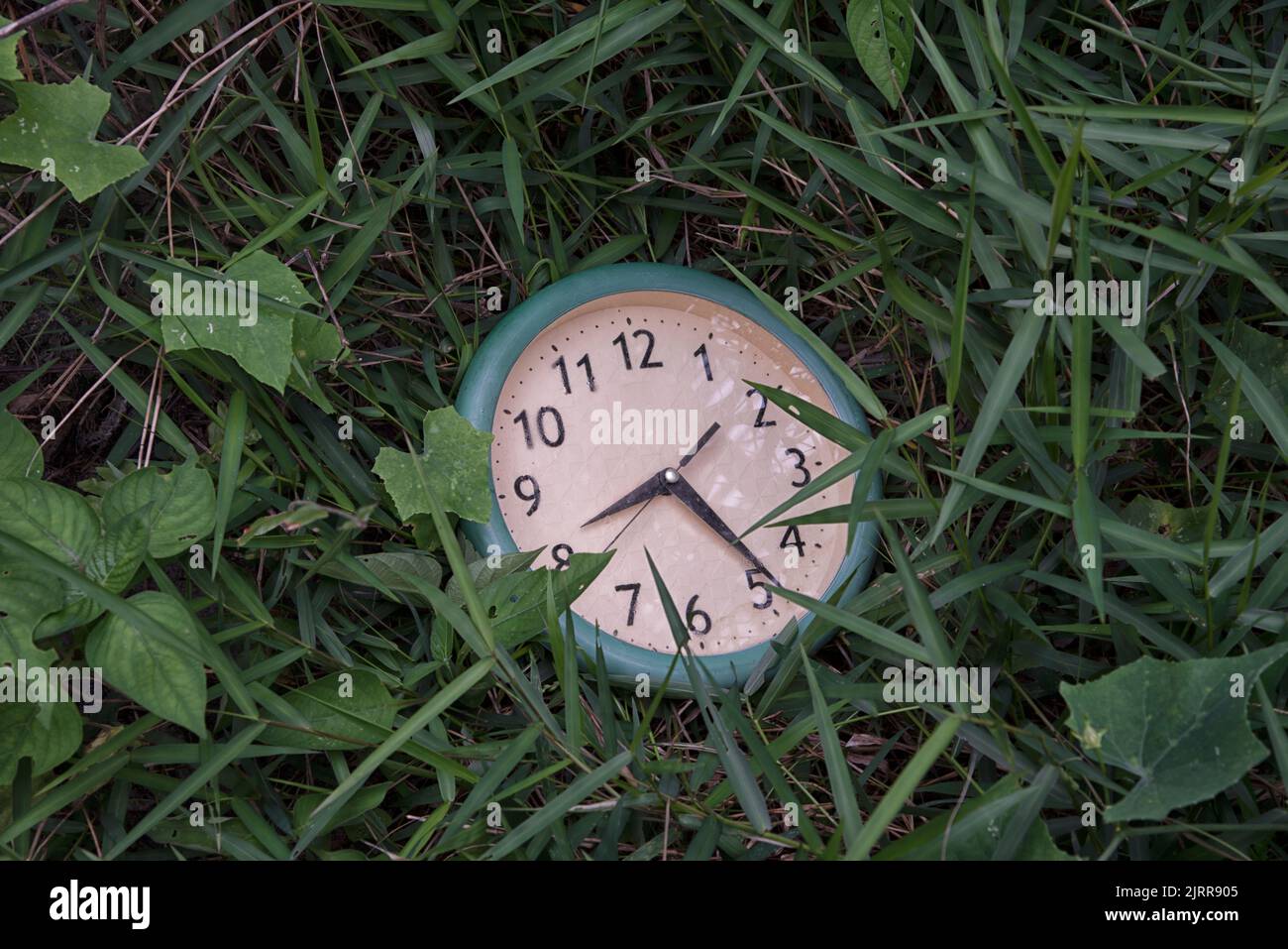 spoiled analog round clock thrown in the bush Stock Photo - Alamy