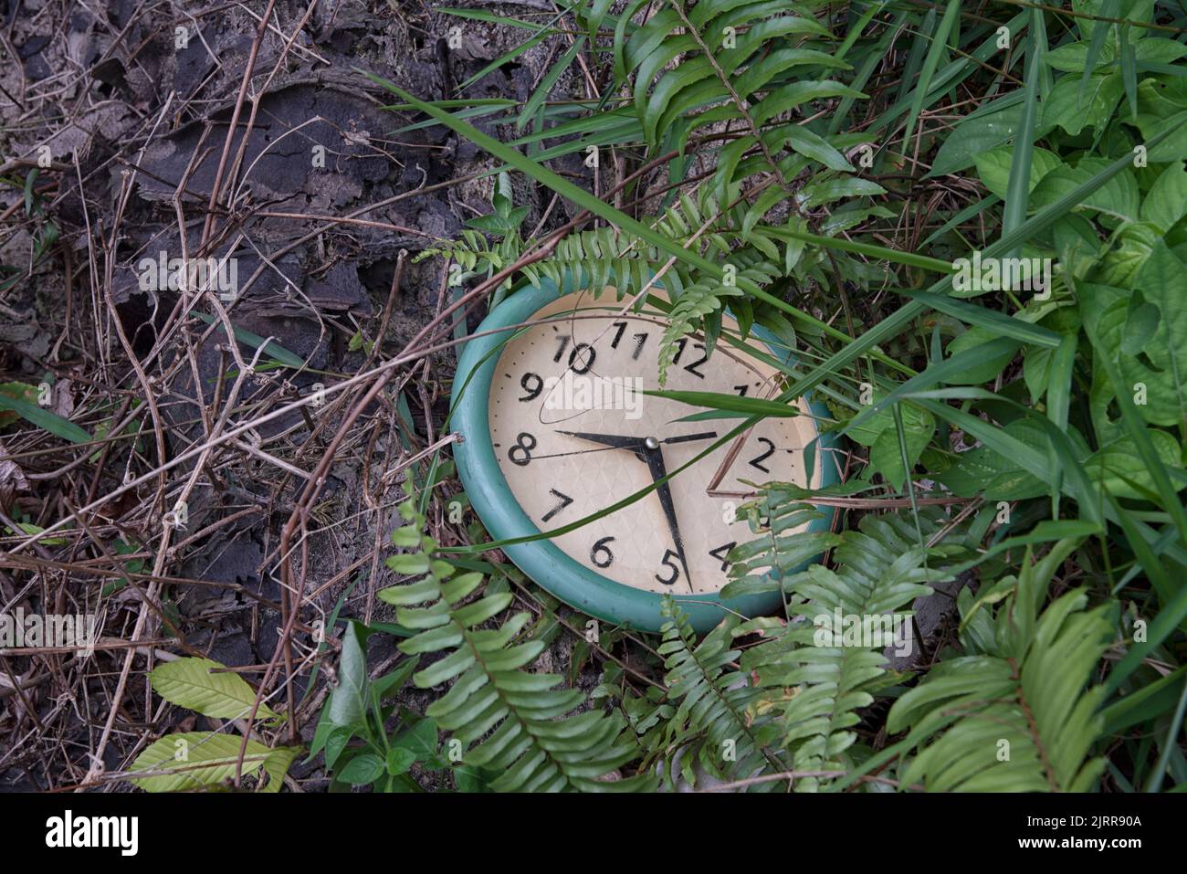 spoiled analog round clock thrown in the bush Stock Photo - Alamy