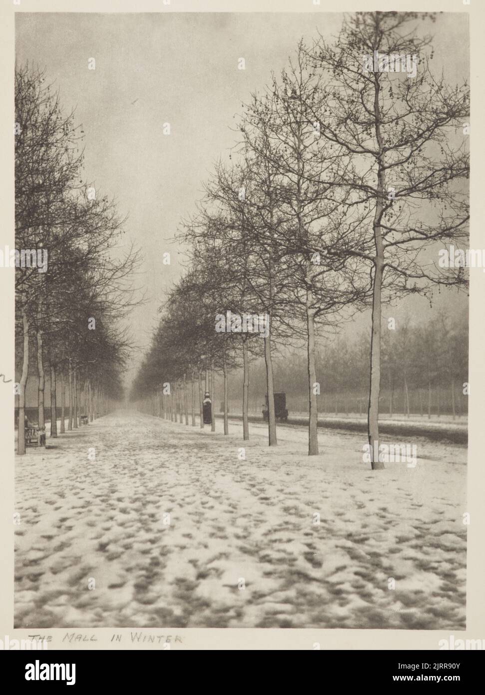 The Mall in winter. From the album: Photograph album - London, 1920s ...