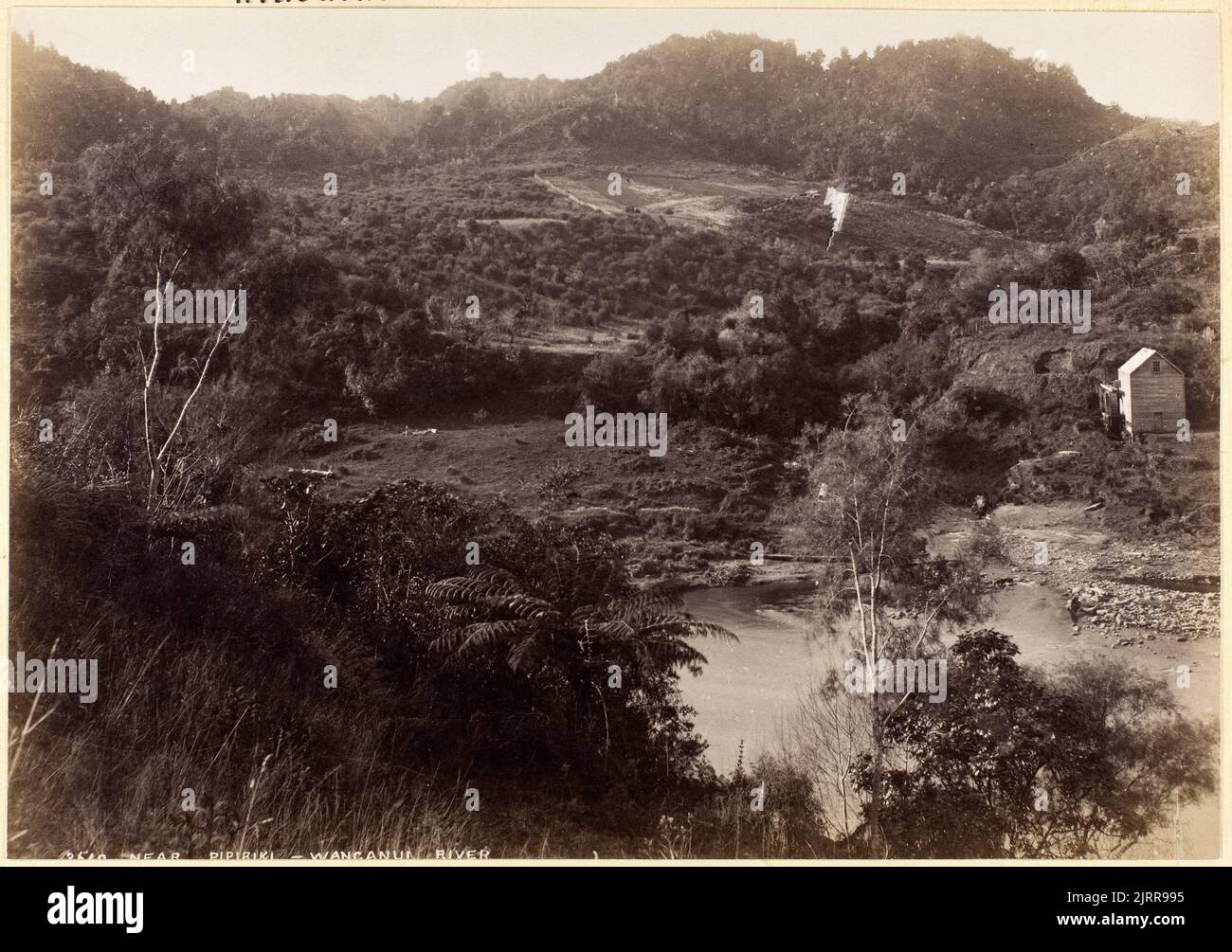 Wanganui river near pipiriki hi-res stock photography and images - Alamy