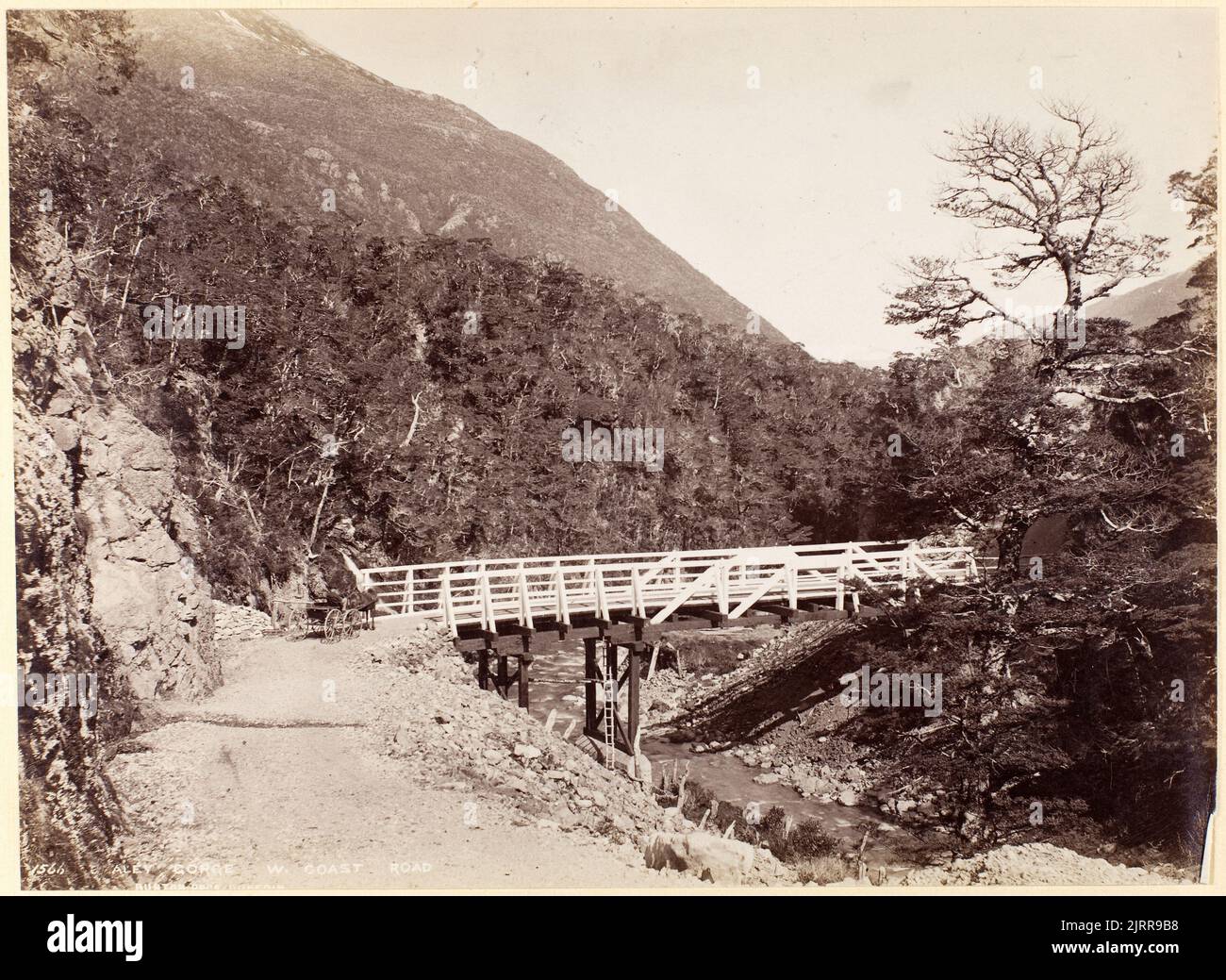 West coast road bealey hi-res stock photography and images - Alamy