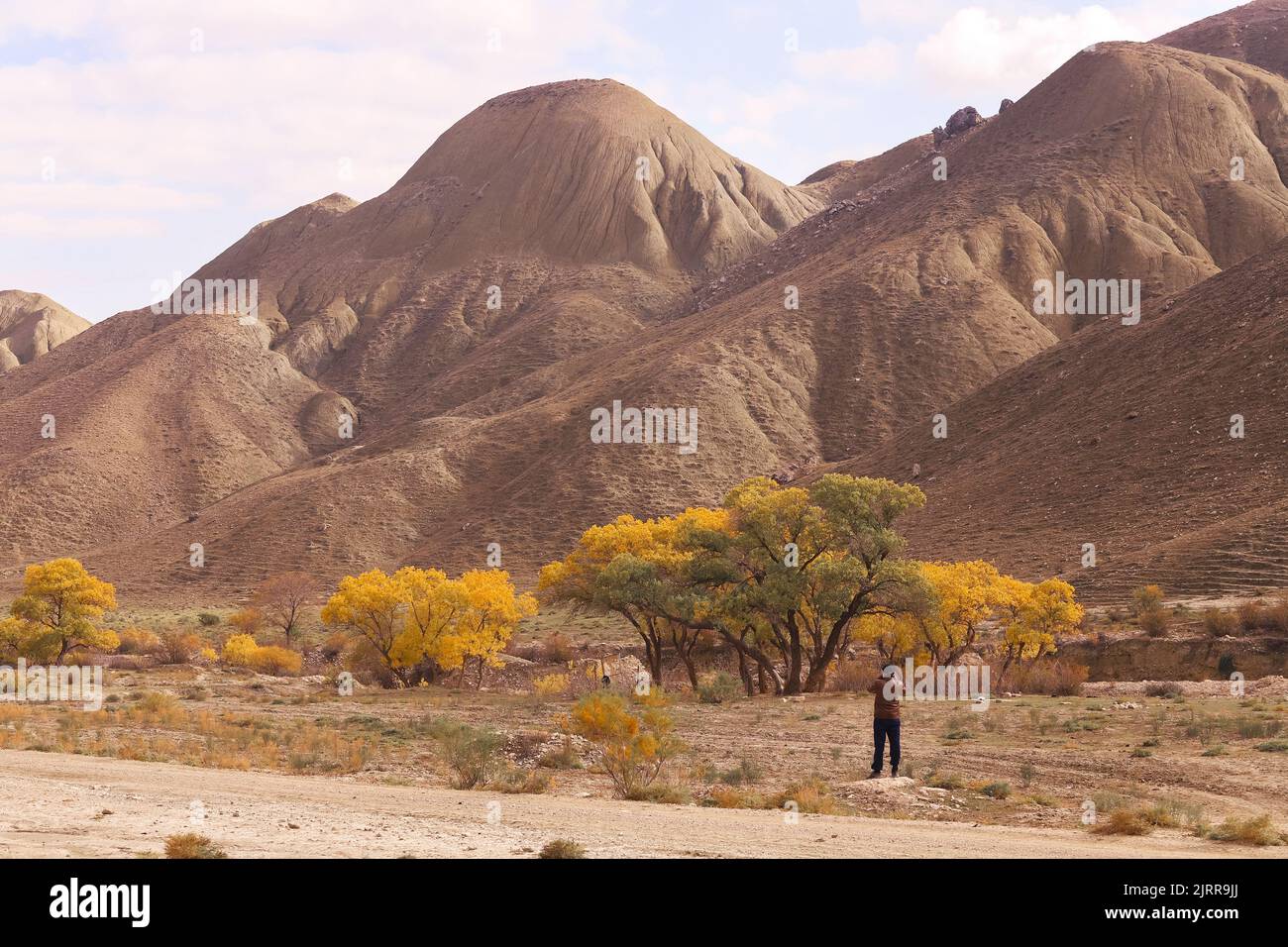 A photographer takes pictures of beautiful yellow trees by the river ...