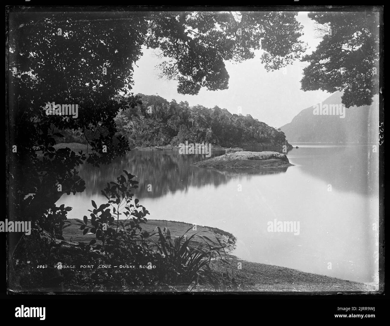 Passage Point Cove, Dusky Sound, New Zealand, by Burton Brothers Stock ...
