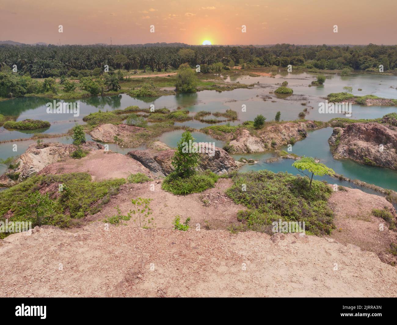 vegetation around the abandoned mining pond Stock Photo - Alamy