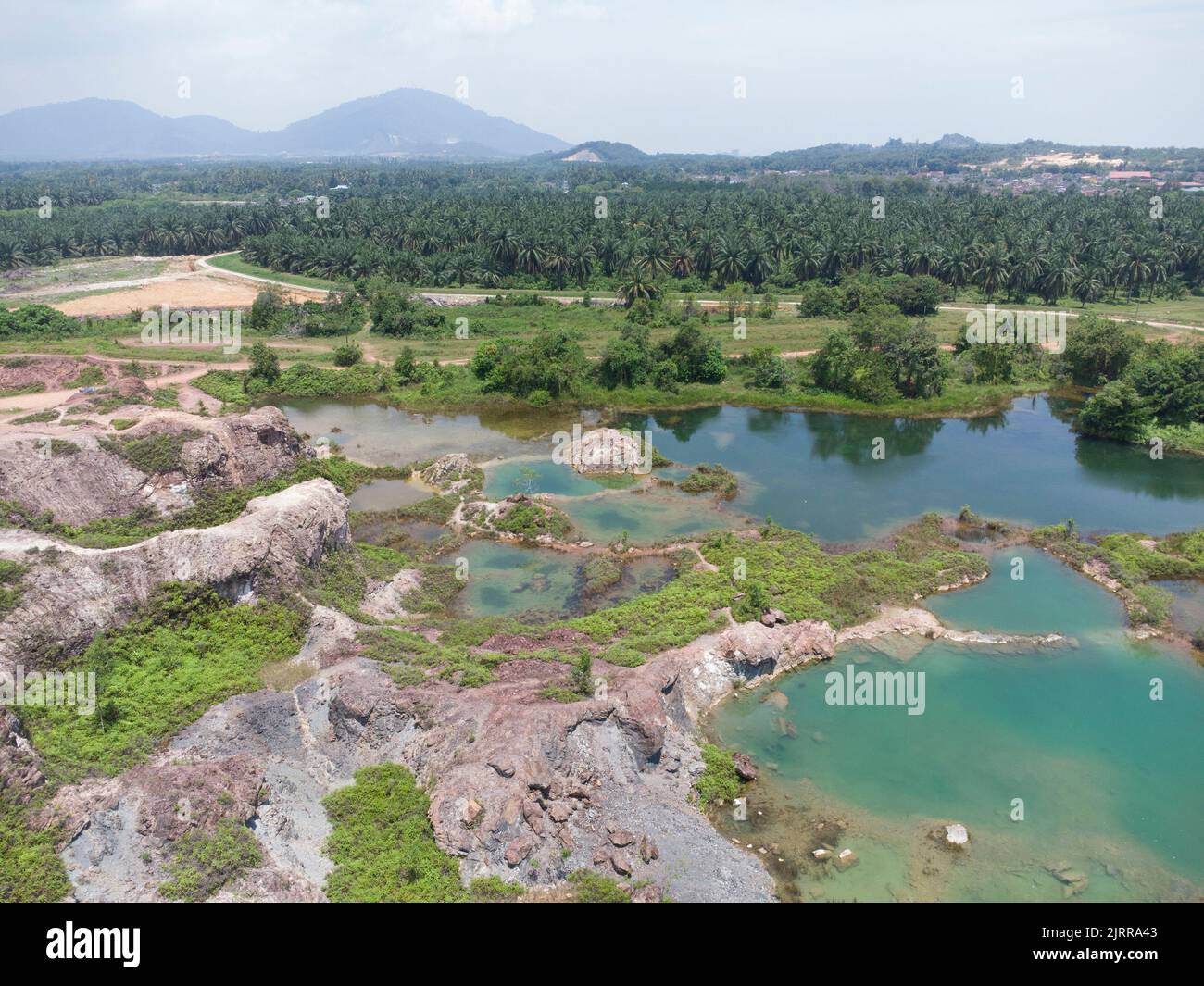 vegetation around the abandoned mining pond Stock Photo - Alamy