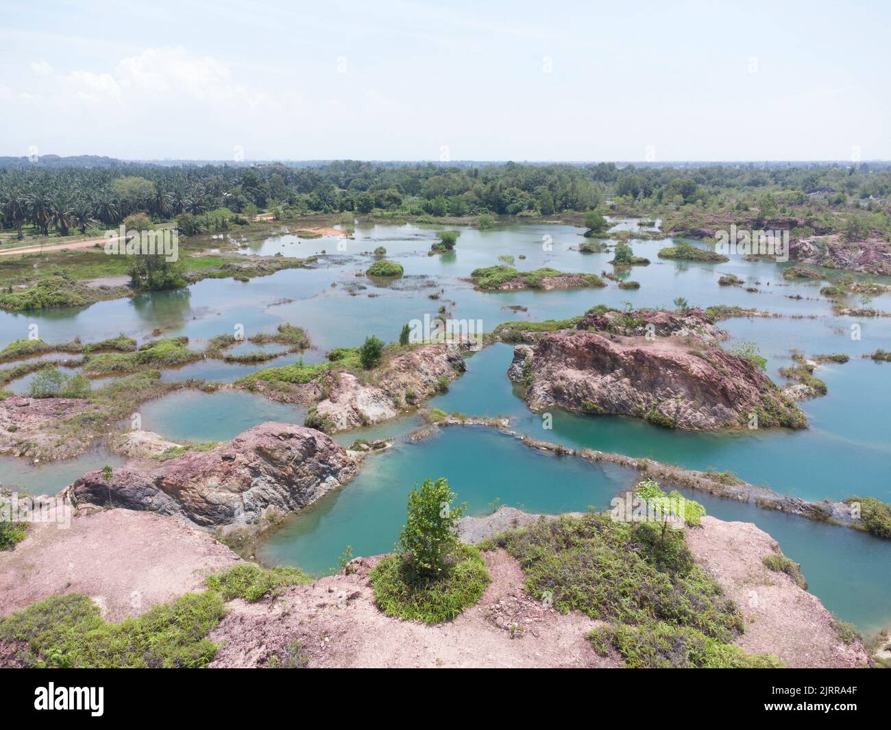 vegetation around the abandoned mining pond Stock Photo - Alamy
