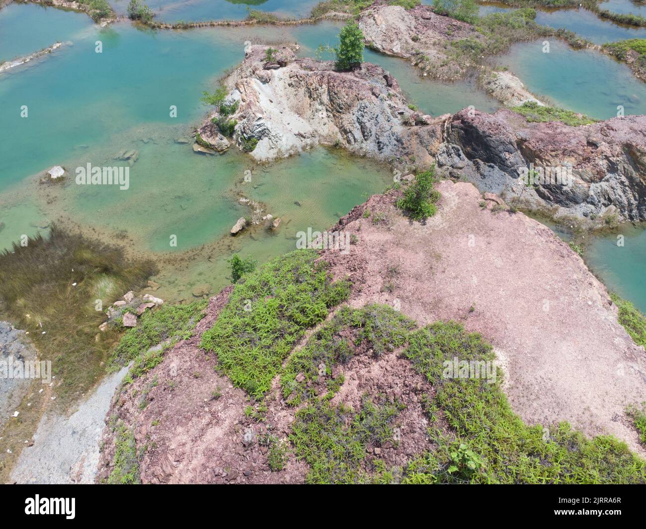 vegetation around the abandoned mining pond Stock Photo - Alamy