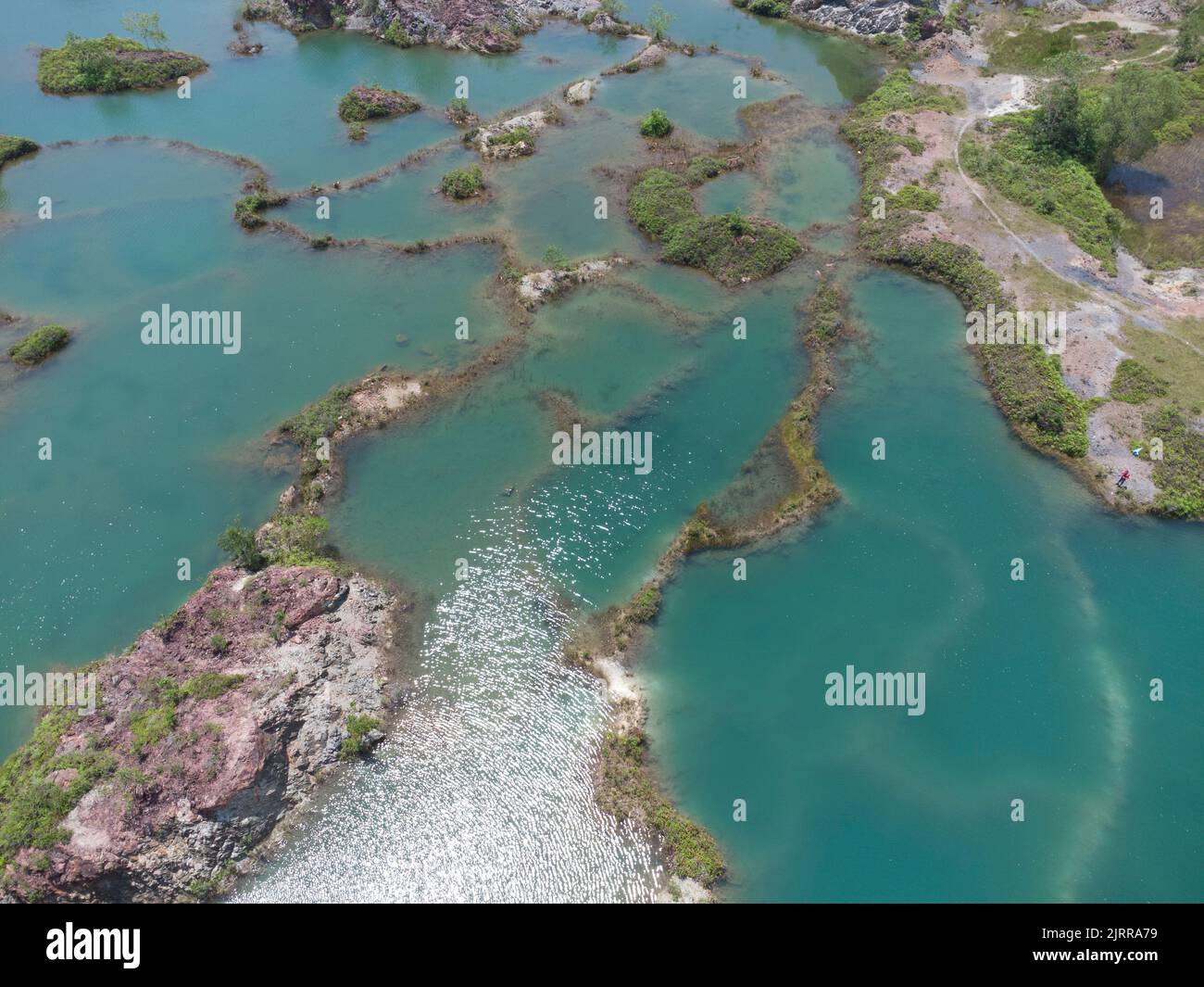 vegetation around the abandoned mining pond Stock Photo - Alamy