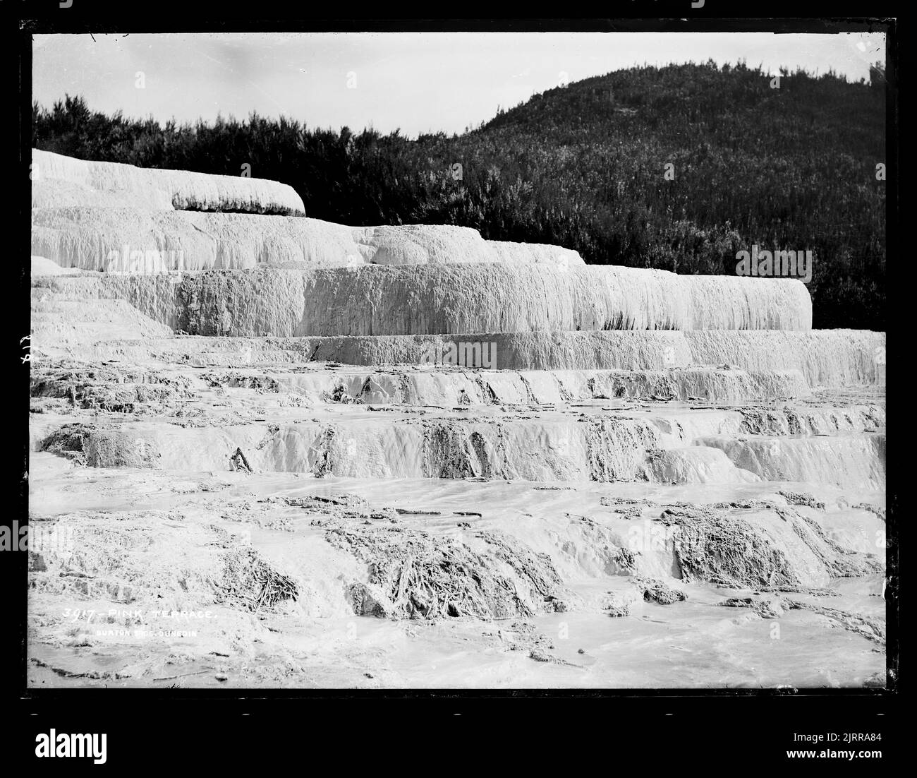 Pink terrace new zealand hi-res stock photography and images - Alamy