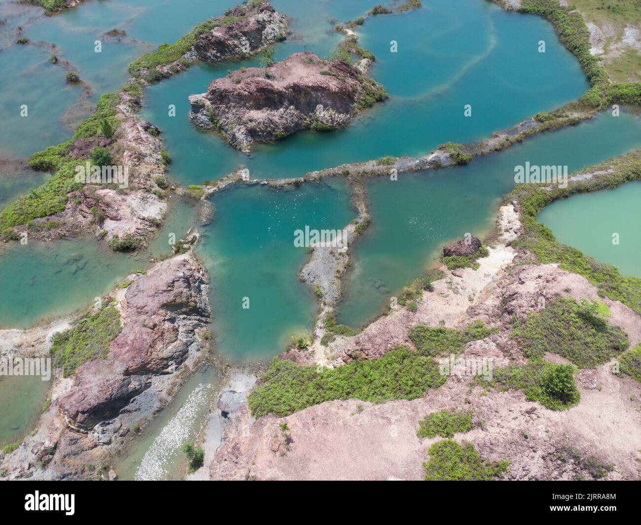 vegetation around the abandoned mining pond Stock Photo - Alamy