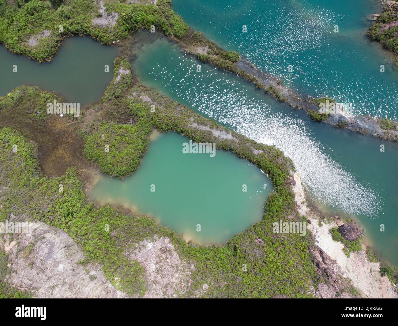 vegetation around the abandoned mining pond Stock Photo - Alamy