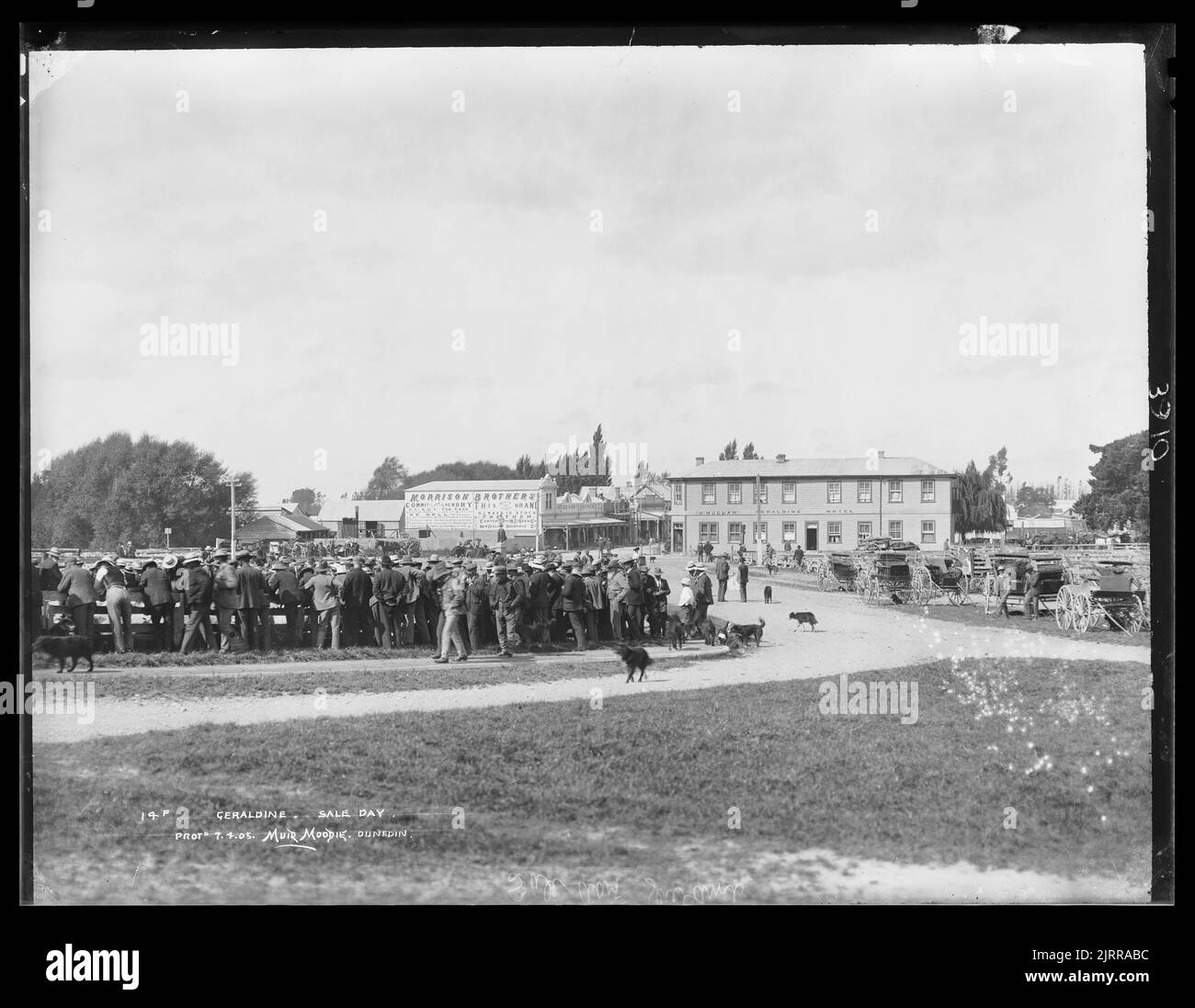 Geraldine muir hi-res stock photography and images - Alamy