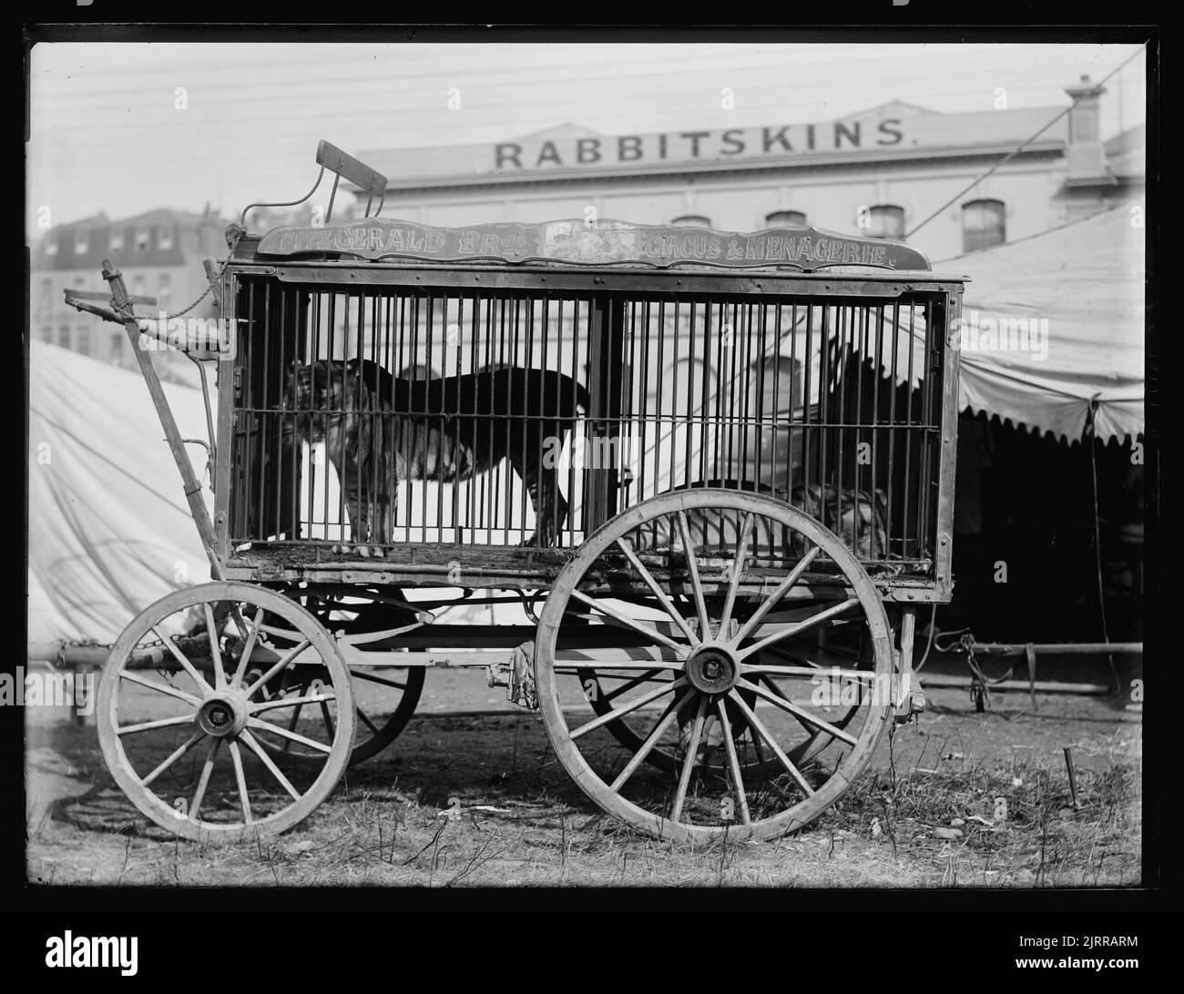 Fitzgerald brothers circus Black and White Stock Photos & Images - Alamy