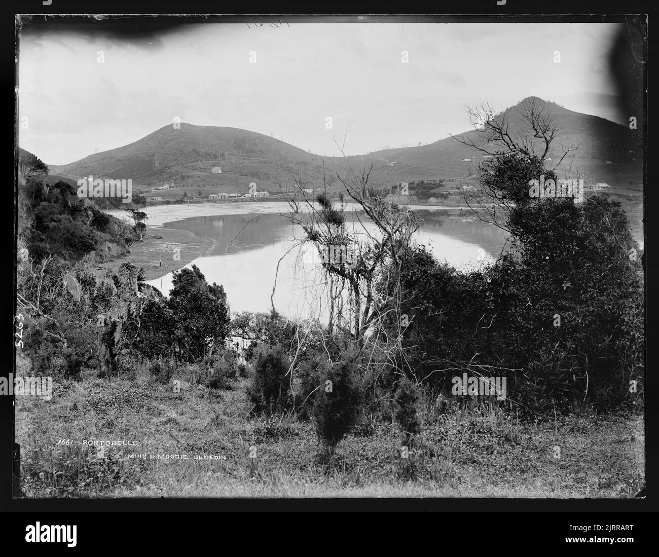 Portobello new zealand hi-res stock photography and images - Alamy