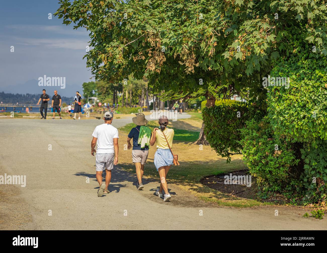 Summer in the park trees alley and active people walking. Family on a ...