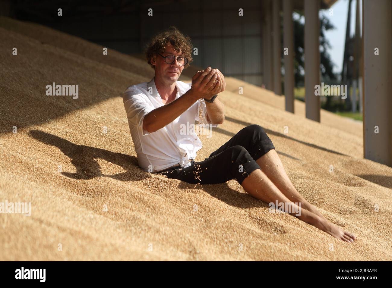 Man holding grains of wheat Stock Photo - Alamy