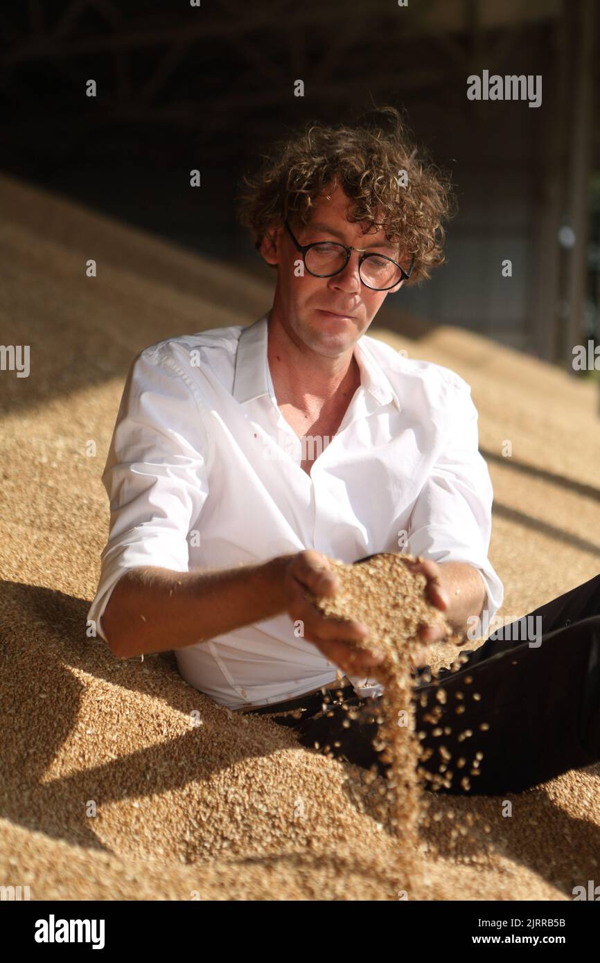Man holding grains of wheat Stock Photo - Alamy