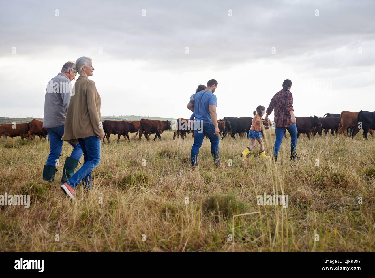 Family together, cattle field and business with people you love ...