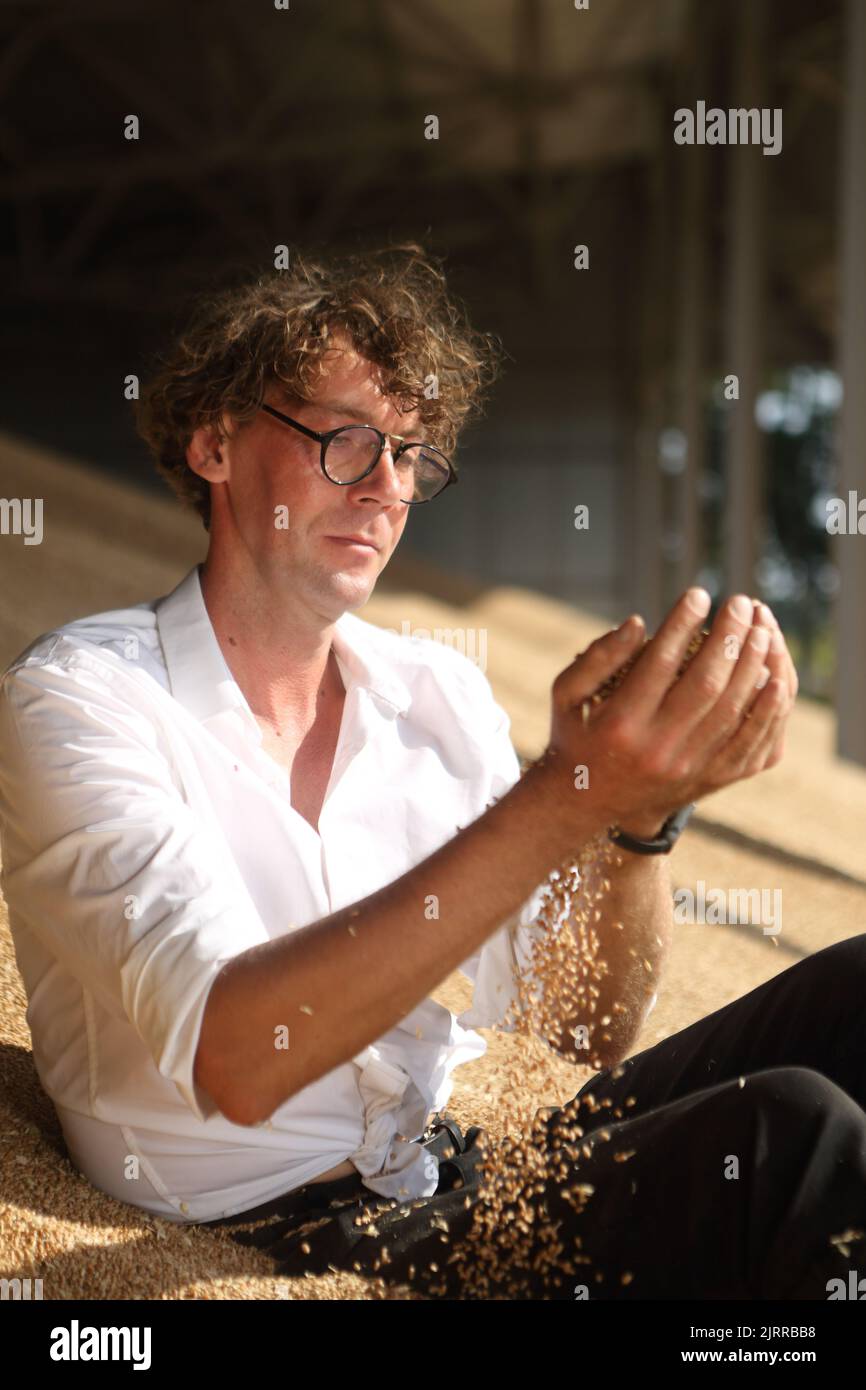 Man holding grains of wheat Stock Photo - Alamy