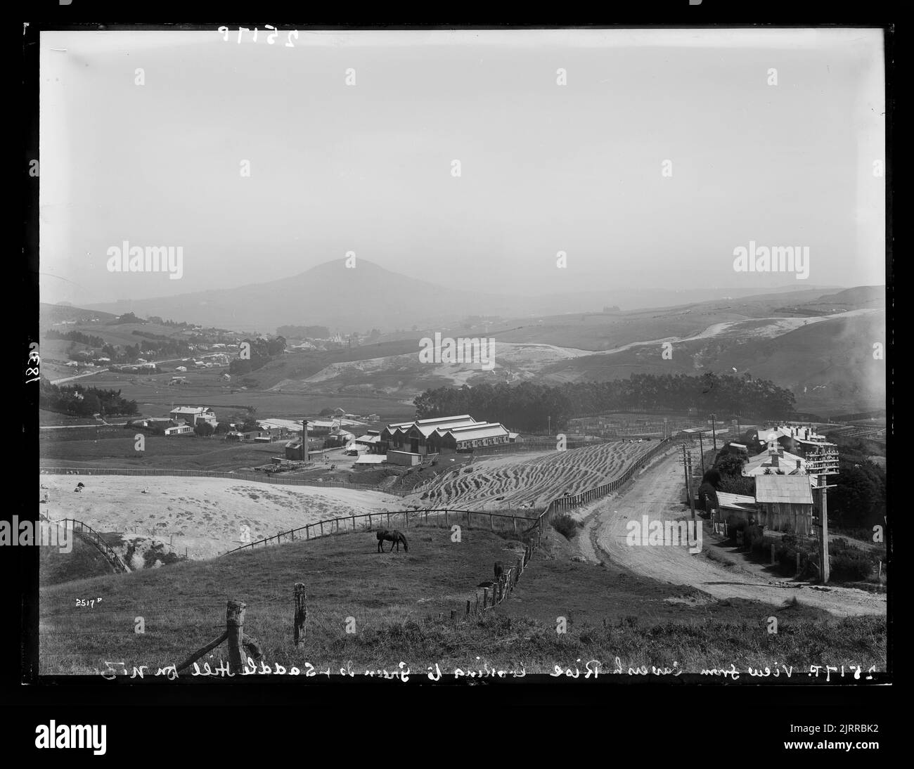 View from Caversham Rise looking to Green Island and Saddle Hill ...