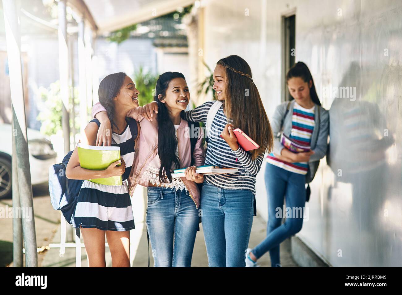 Friendship makes school more fun. a group of schoolgirls chatting in ...