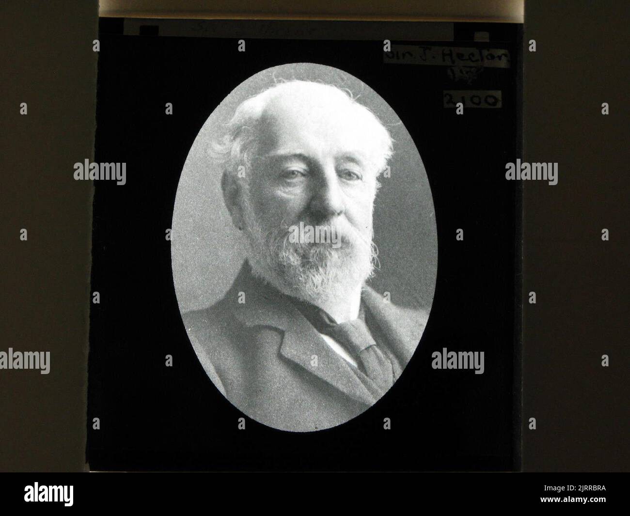 Sir James Hector, circa 1941, by William C Davies Stock Photo - Alamy