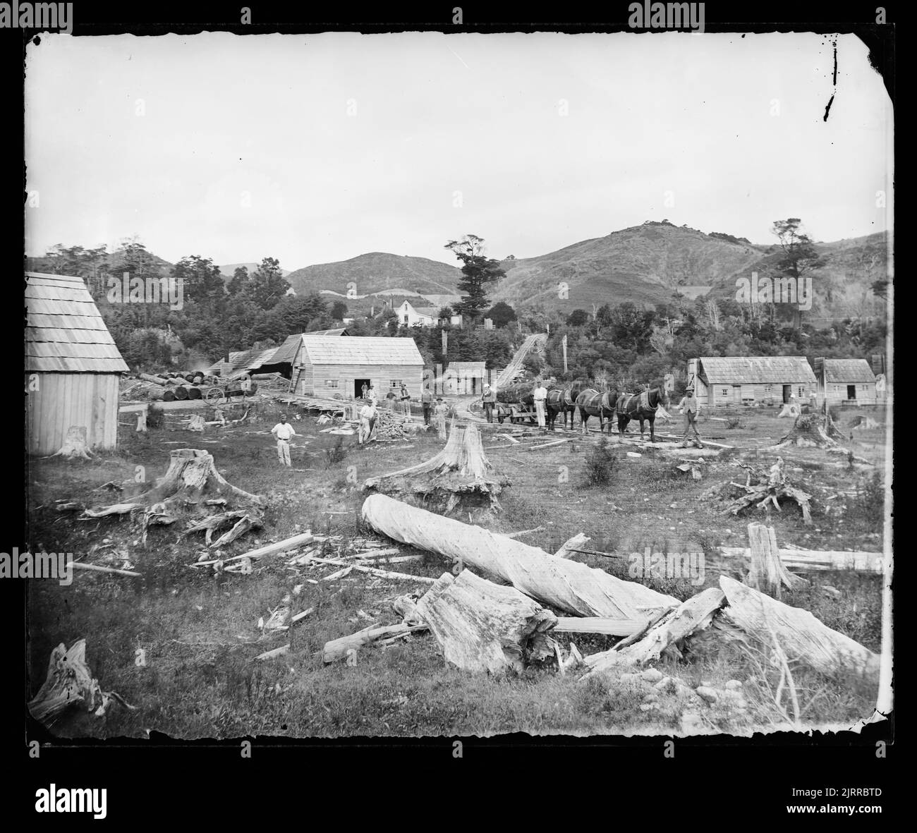 Scene at a sawmill, circa 1875, Manawat, by James Bragge Stock Photo ...
