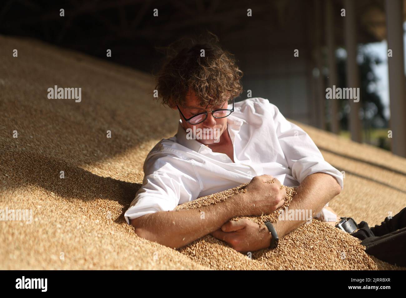 Man holding grains of wheat Stock Photo - Alamy