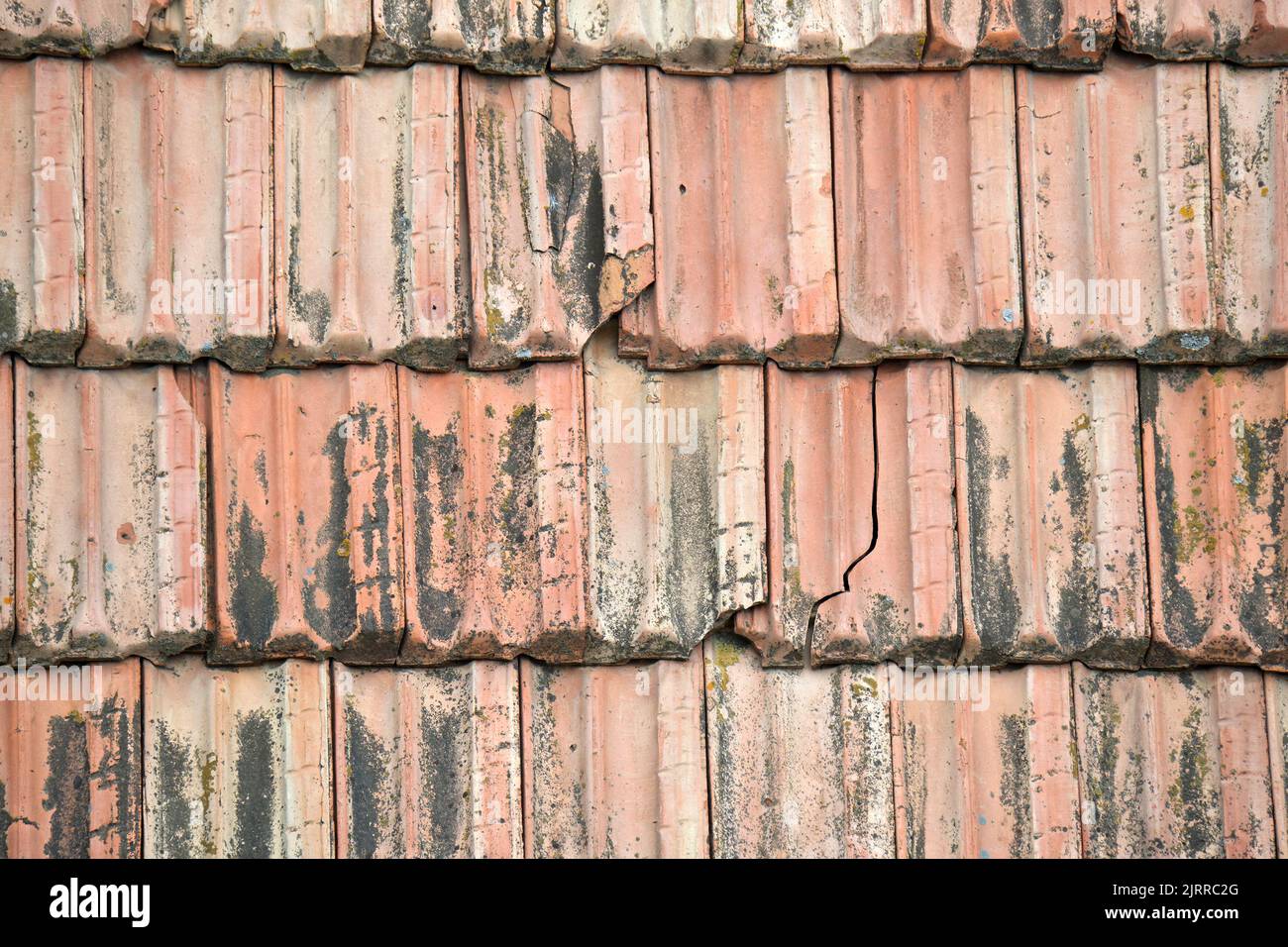 Shale roof tiles hi-res stock photography and images - Alamy