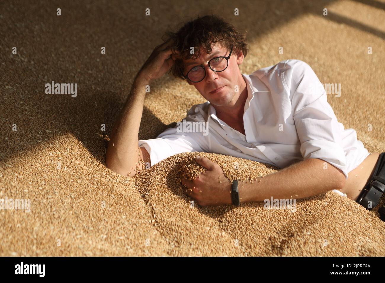 Man holding grains of wheat Stock Photo - Alamy