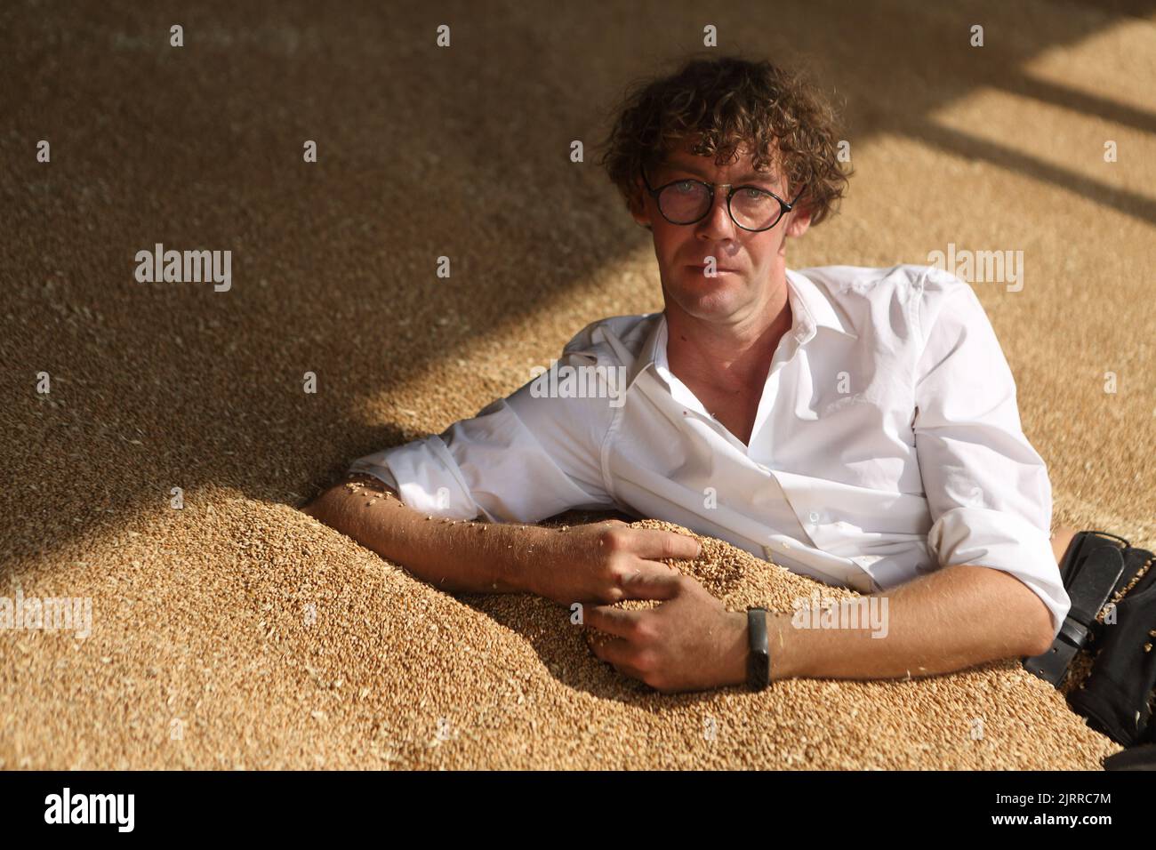 Man holding grains of wheat Stock Photo - Alamy