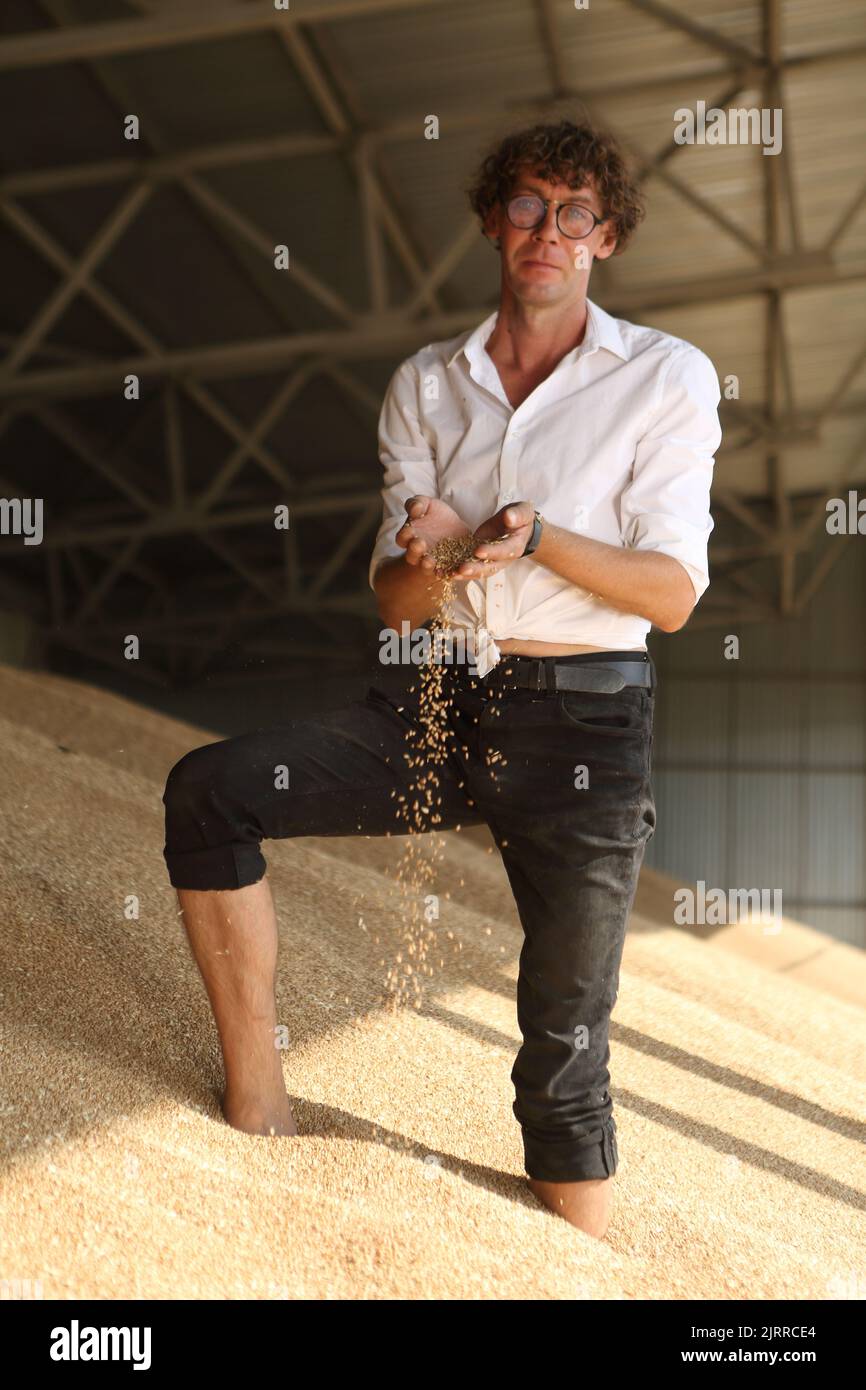 Man holding grains of wheat Stock Photo - Alamy