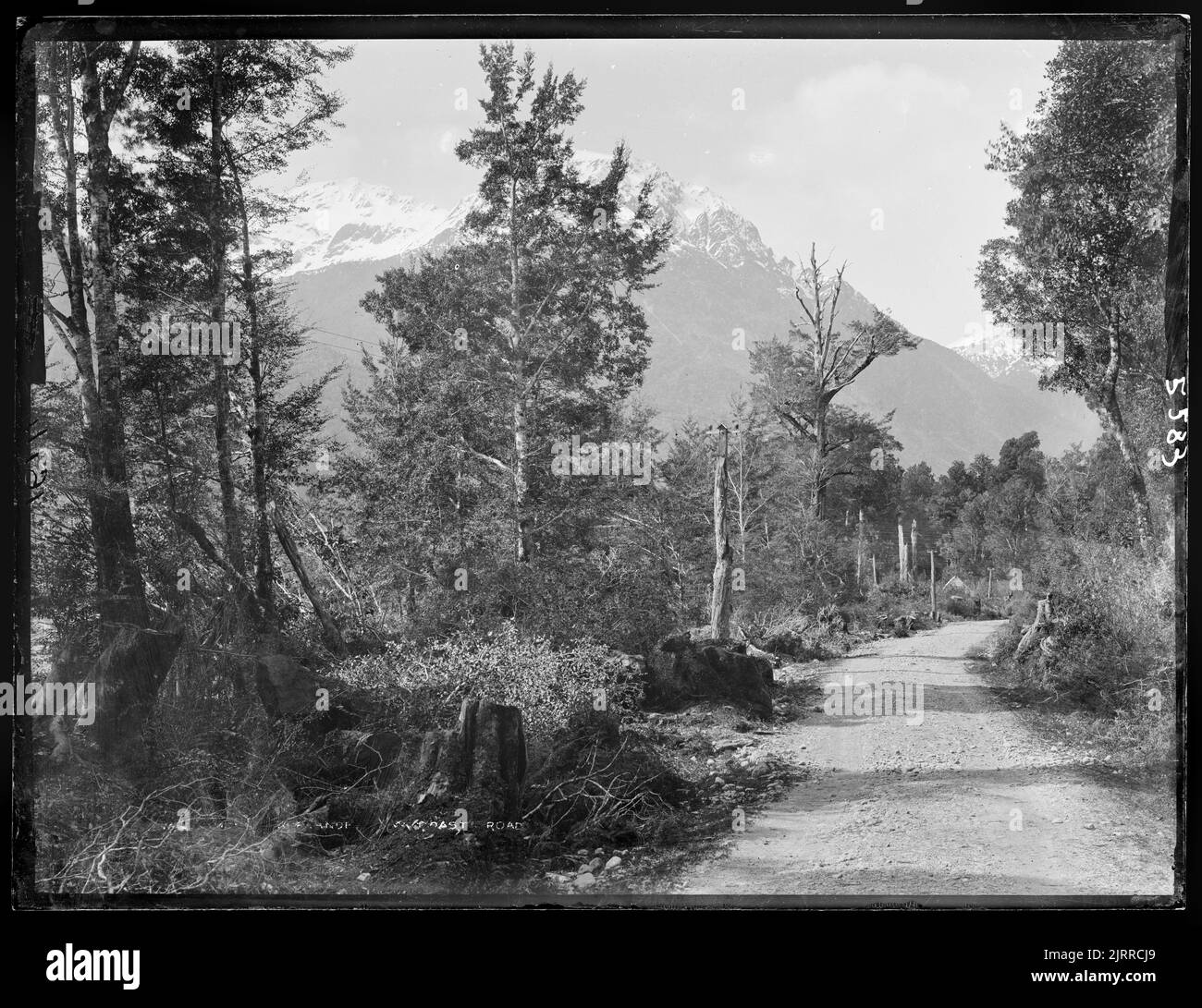 Mount Alexander, West Coast Road, 1880s, Dunedin, by Burton Brothers ...
