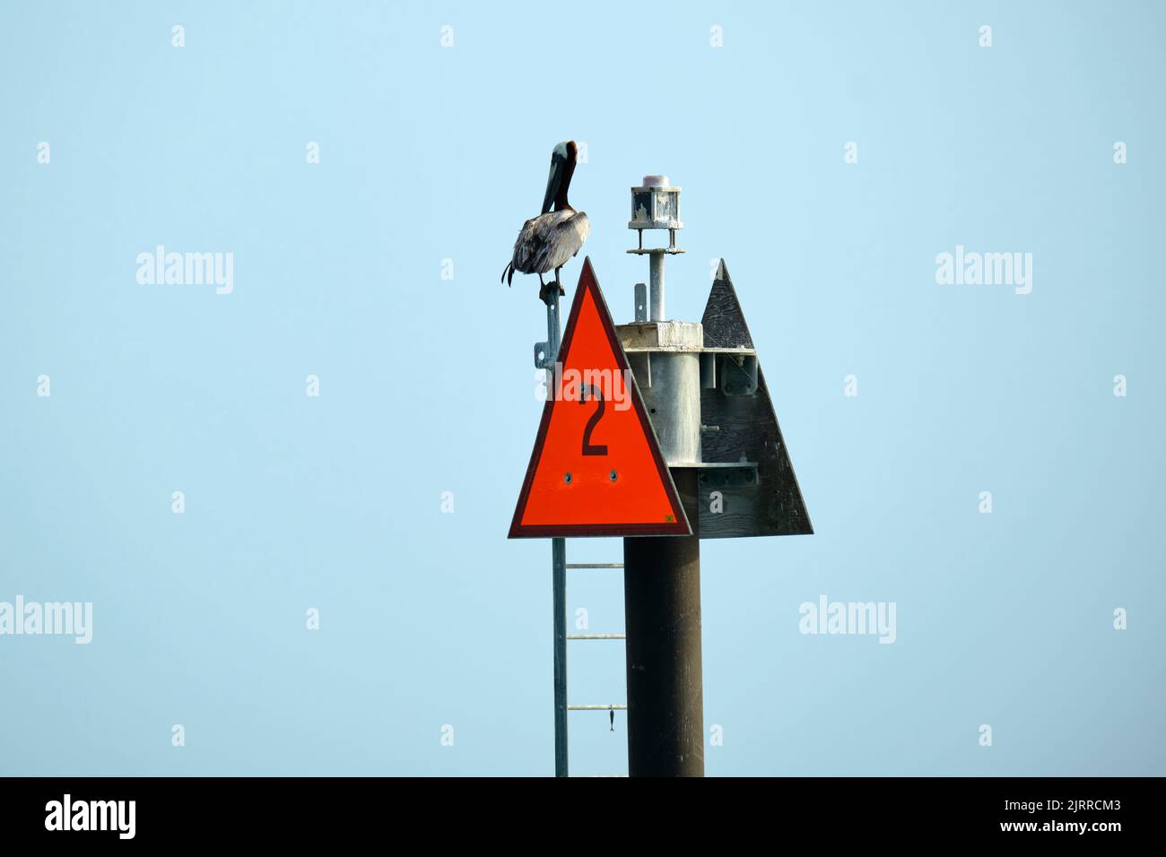 Sea bird pelican sitting on top of metal pipe with signs far from shore ...