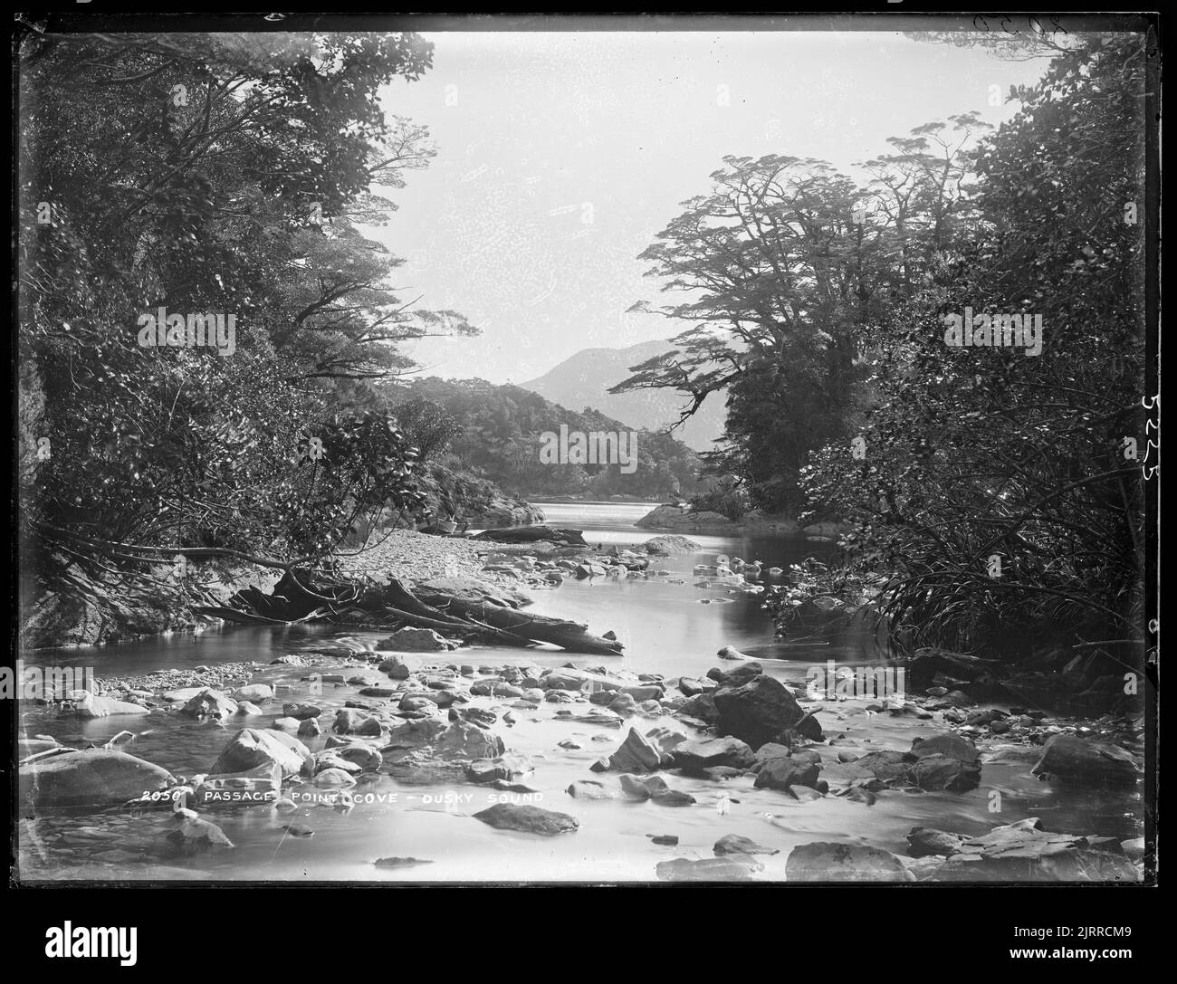Passage Point Cove, Dusky Sound, New Zealand, by Burton Brothers Stock ...