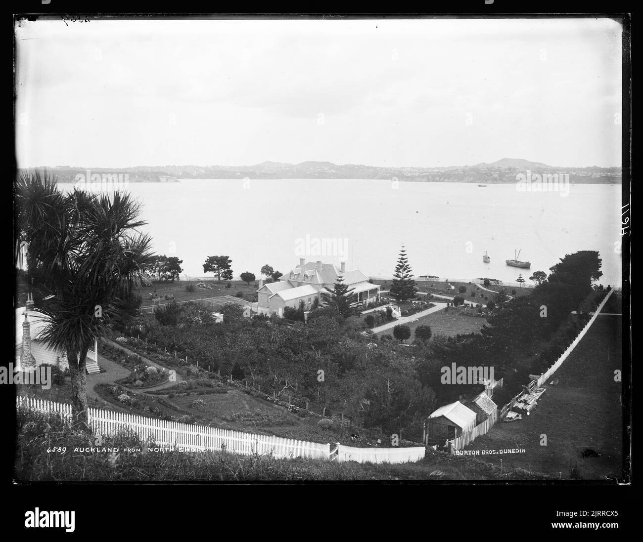 Auckland from north shore hi-res stock photography and images - Alamy