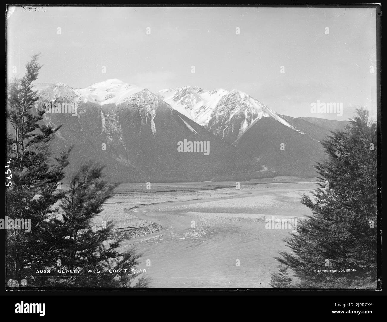 Bealey, West Coast Road, New Zealand, by Burton Brothers Stock Photo - Alamy