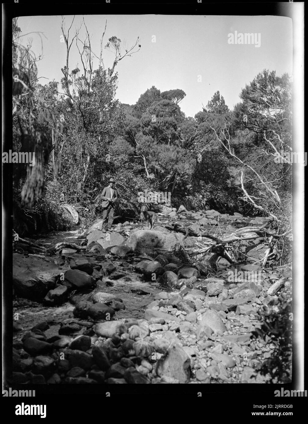 Rocky streambed rocky streambed Black and White Stock Photos & Images ...