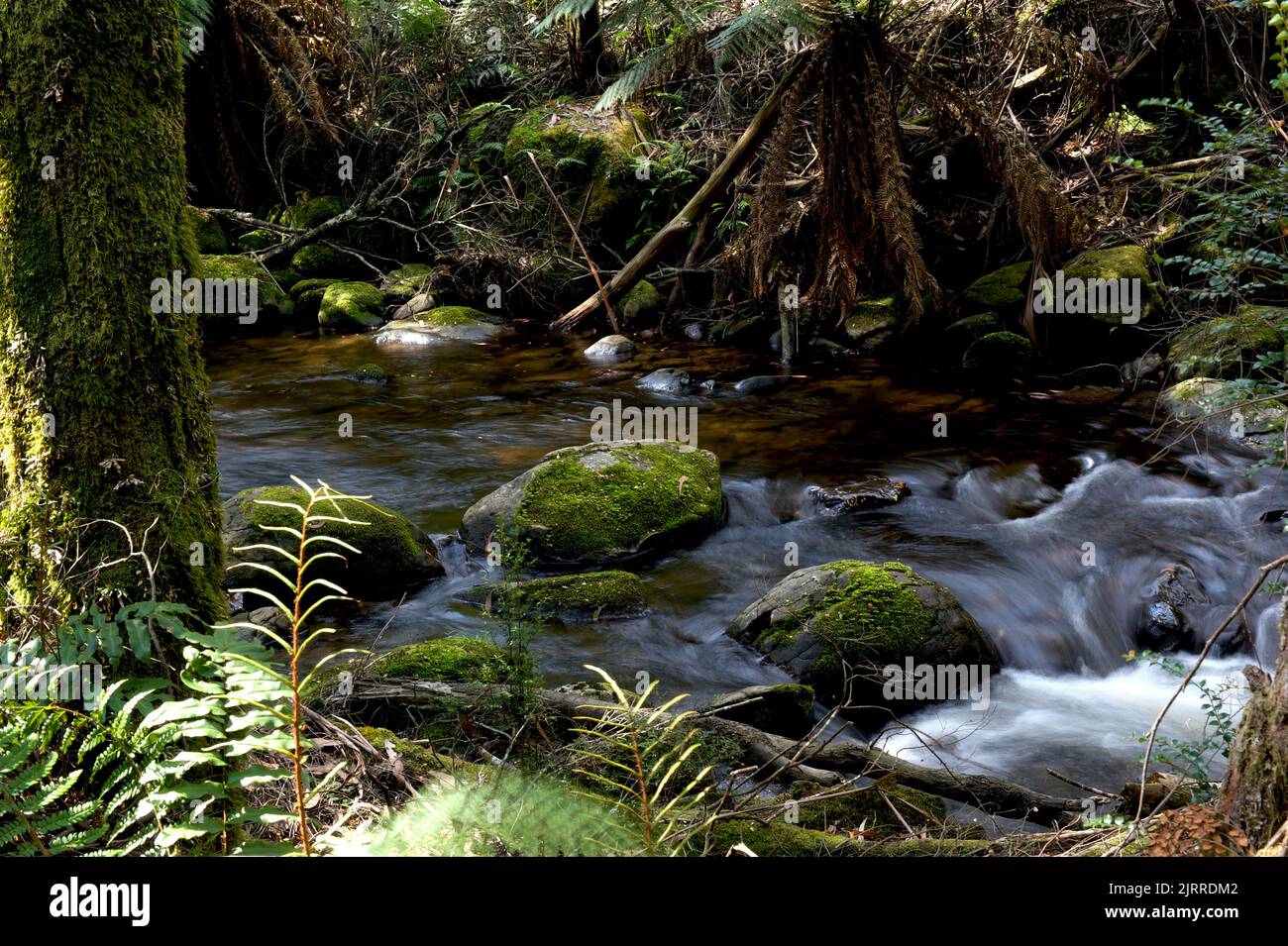 Badger weir reserve hi-res stock photography and images - Alamy