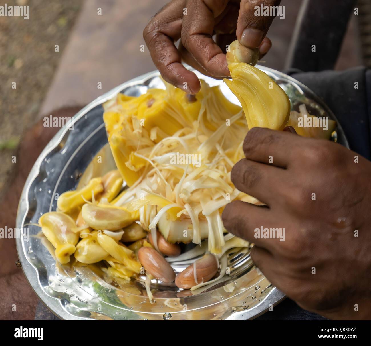 A human hands holding fresh jackfruit Stock Photo - Alamy