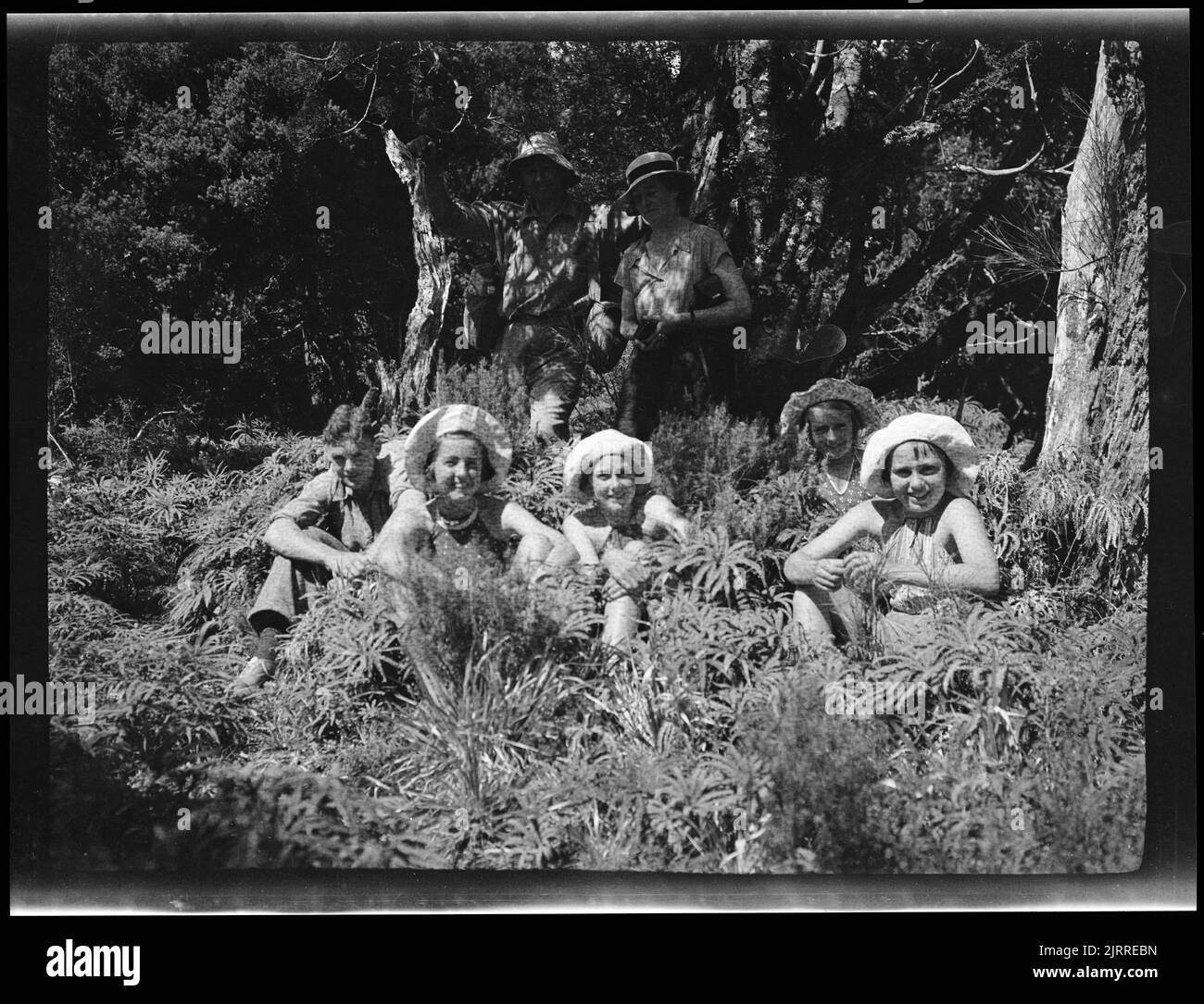 Group in the bush group in the bush Black and White Stock Photos ...