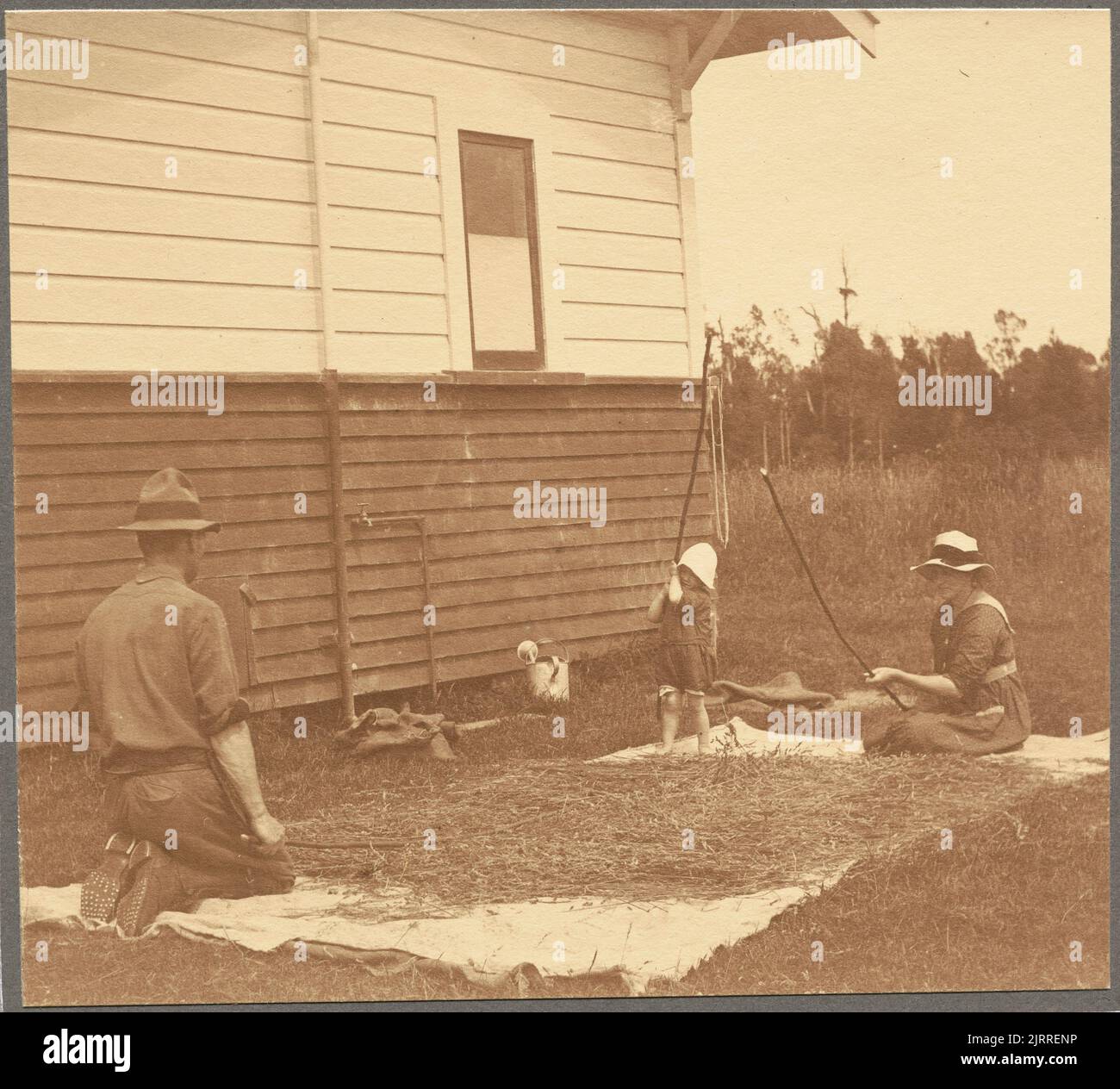 Threshing cocksfoot hi-res stock photography and images - Alamy