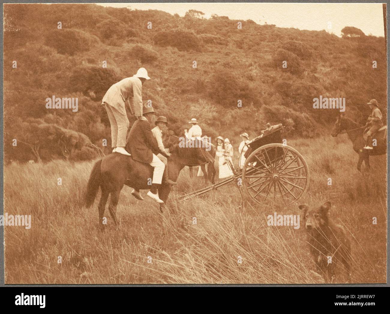 Boxing day new zealand hi-res stock photography and images - Alamy